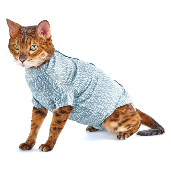 Buster Body Suit Step'n Go - Katze von Kruuse – Marigin AG Onlineshop ...