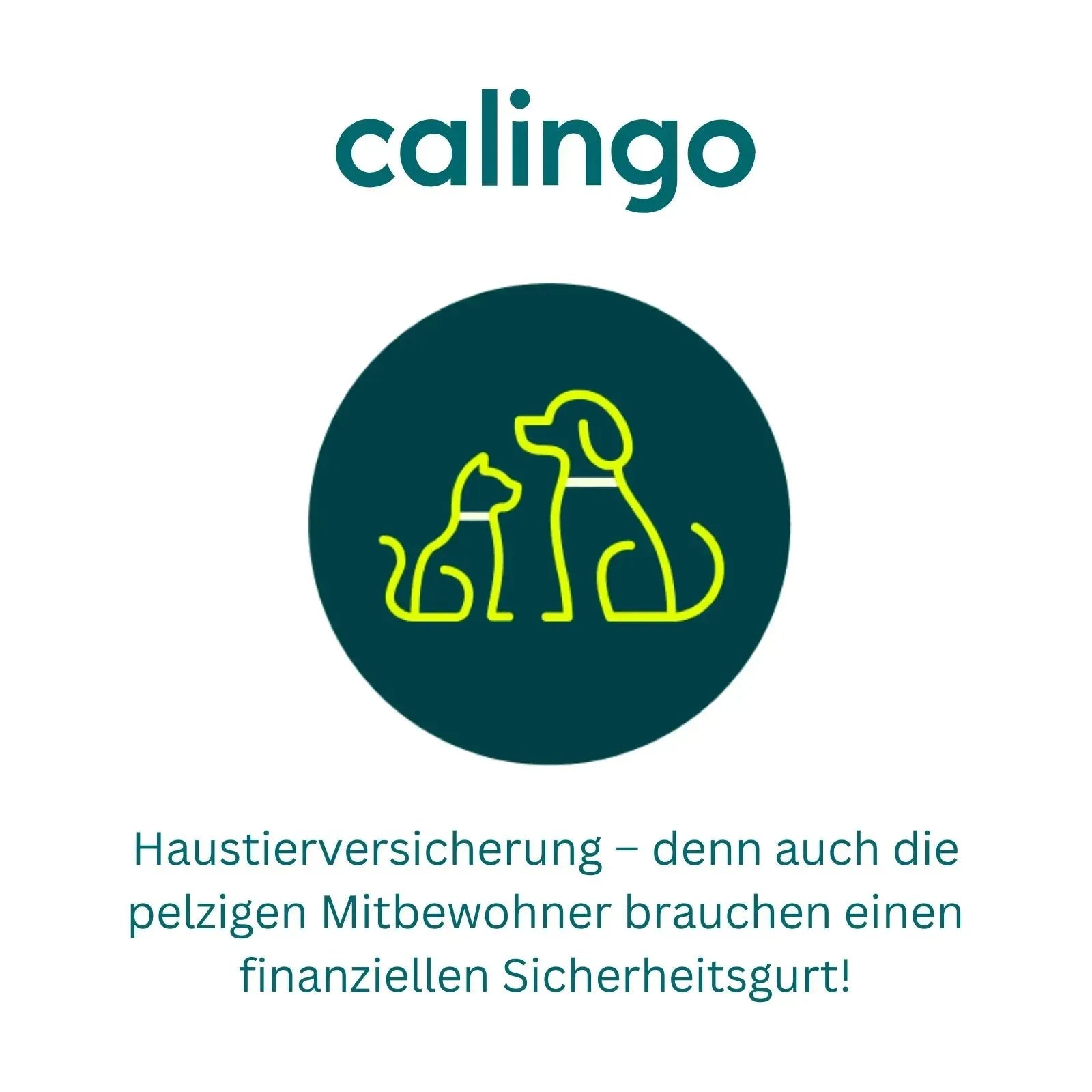 Heimtierversicherung - Tierversicherung von Calingo | Marigin AG ...