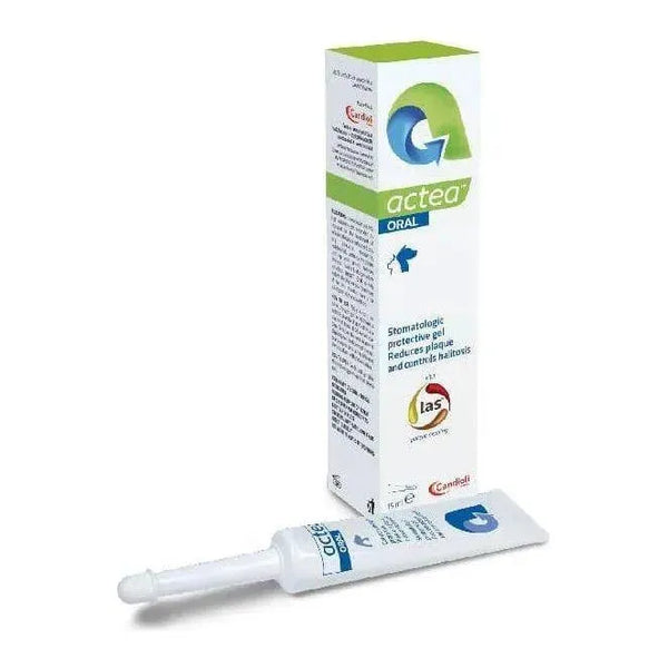Candioli Actea Oral Gel - Hund/Katze von Candioli – Marigin Onlineshop